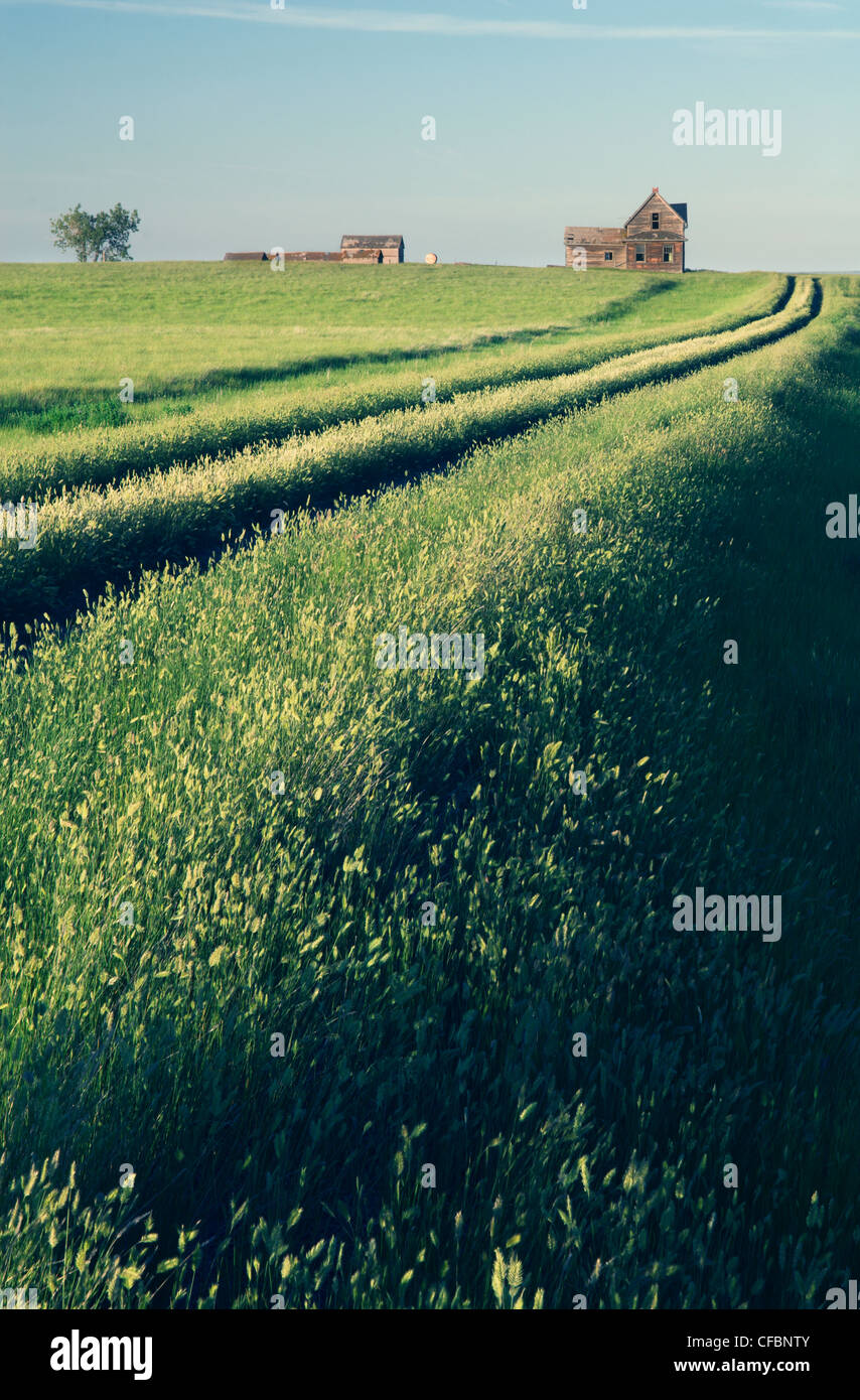 Leader saskatchewan hi-res stock photography and images - Alamy