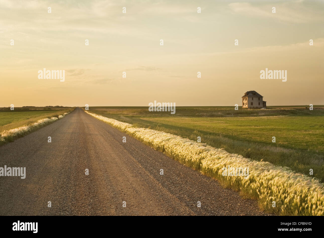 Road and house near Leader, Saskatchewan, Canada Stock Photo - Alamy