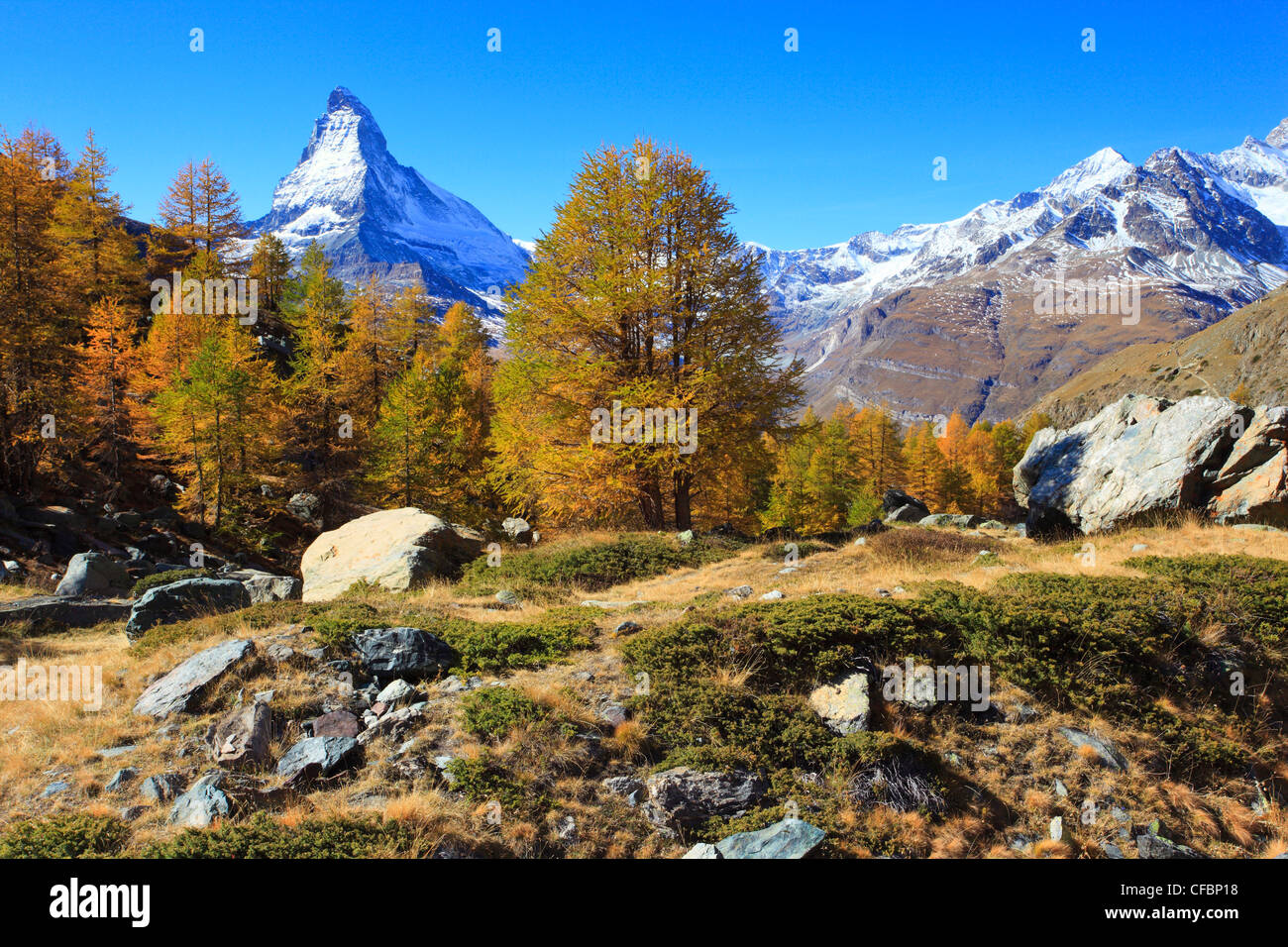 Mountain peak, peak, hilltop, autumn, colors, scenery, larch, larches ...