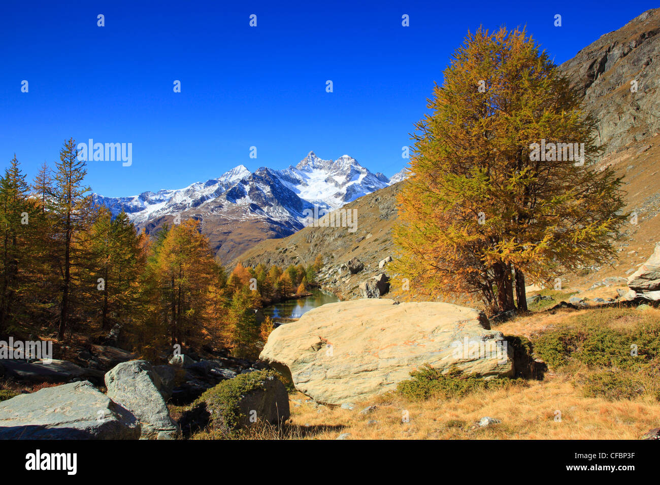 Mountain peak, peak, hilltop, autumn, colors, scenery, larch, larches ...