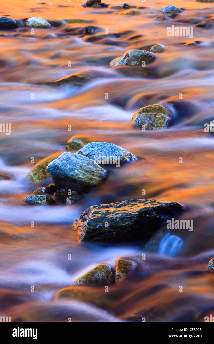 Movement, play of colors, riverbed, autumn, colors, Lonza, river, flow ...