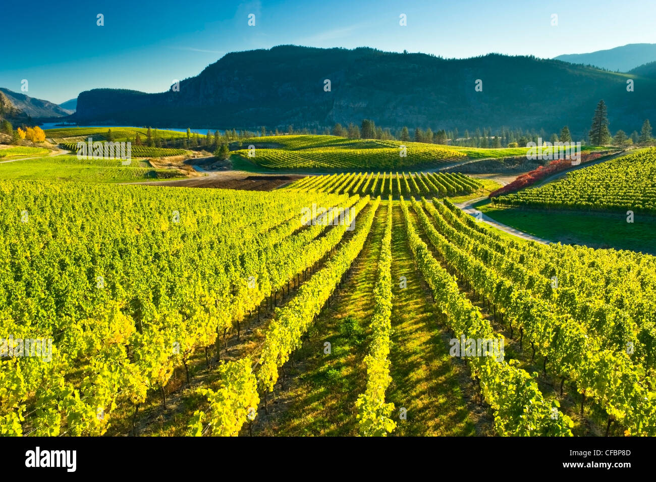 Okanagan hi-res stock photography and images - Alamy