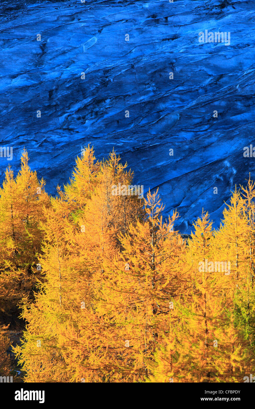 Aletsch, Aletsch glacier, Aletsch area, Aletsch glacier, mountains ...