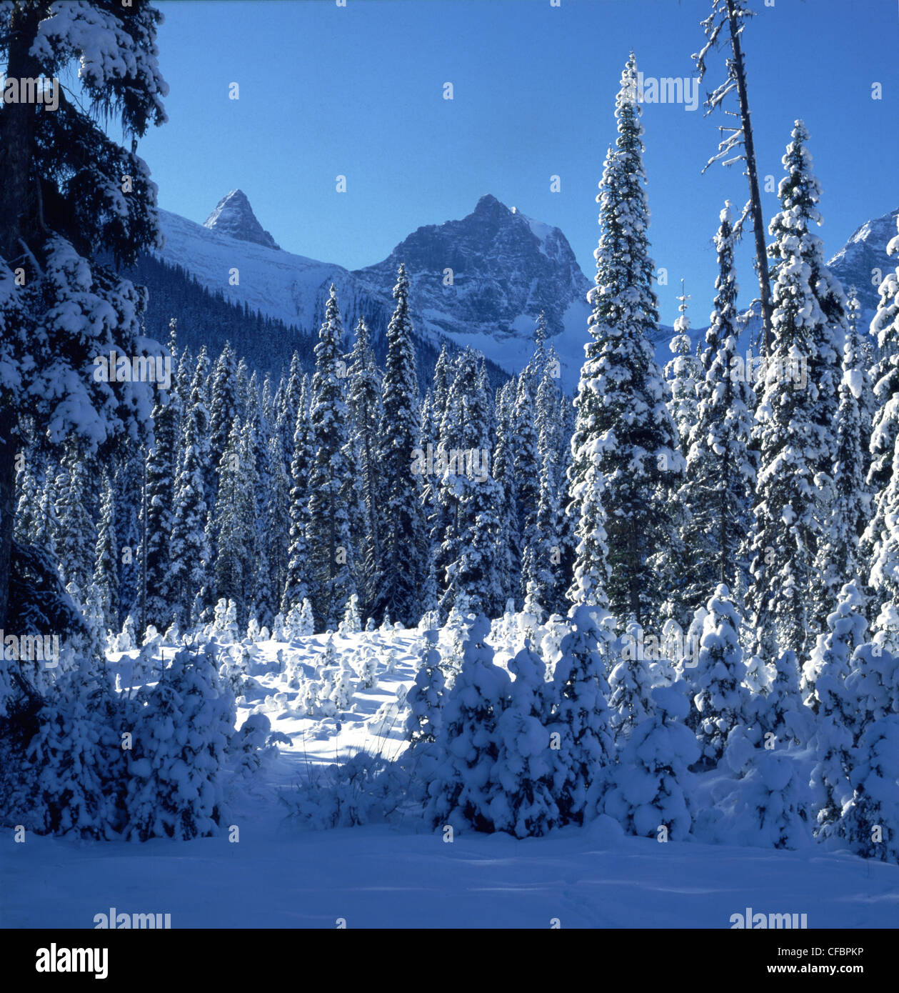 Canadian winter scenic hi-res stock photography and images - Alamy