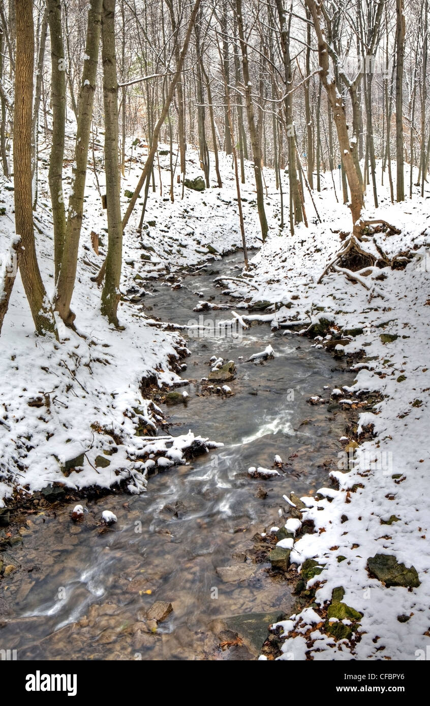 Ancaster Creek in winter, Bruce Trail, Niagara Escarpment, Hamilton ...