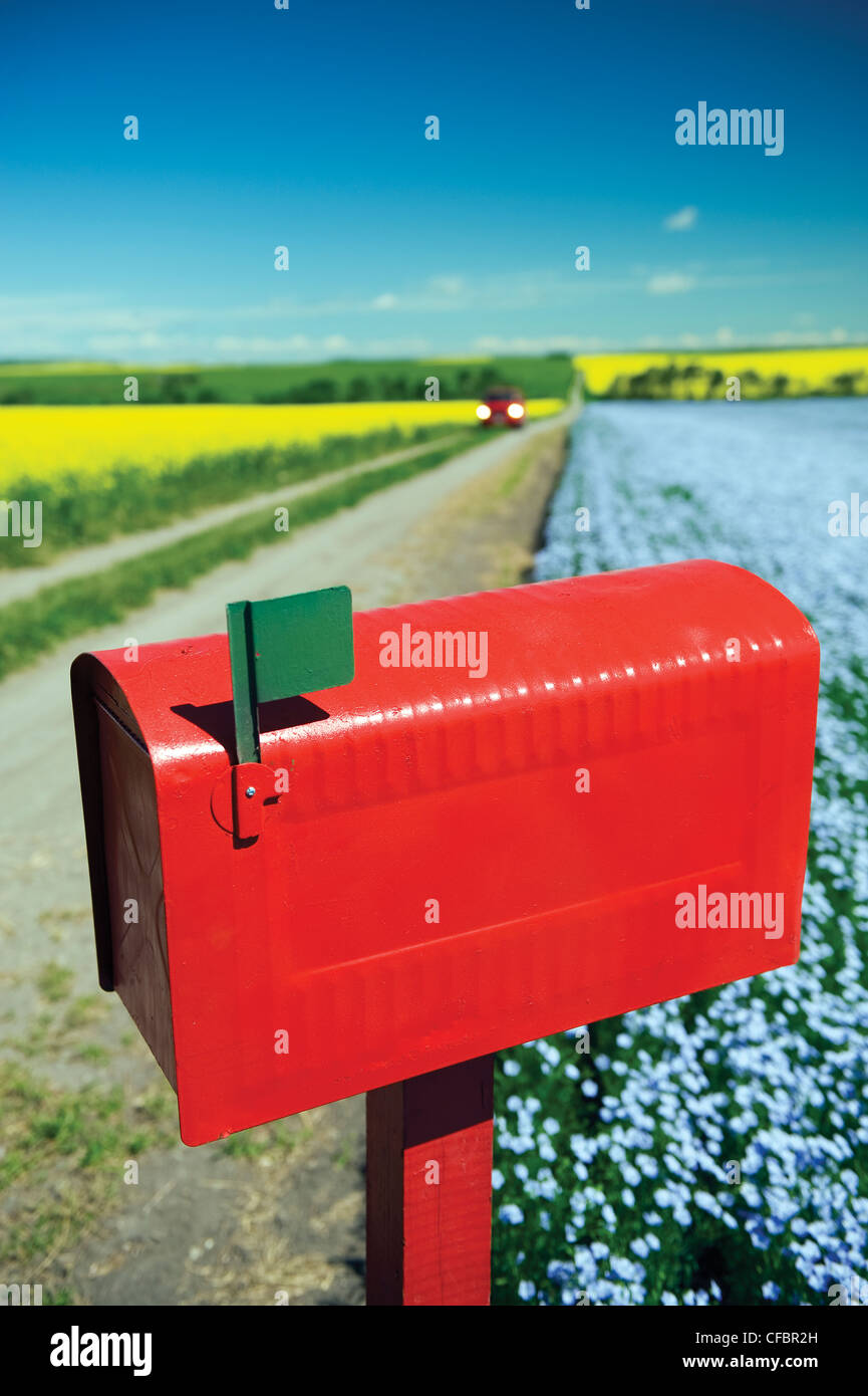 Mailbox along country road with flax and canola fields in the ...