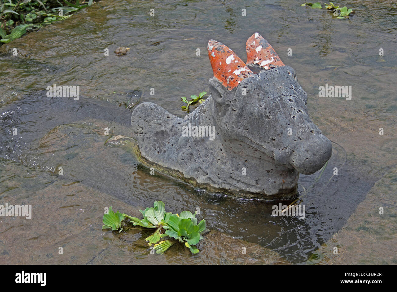 Nandi in Water at Shri Koteshwar Temple Situated between Village Limb ...