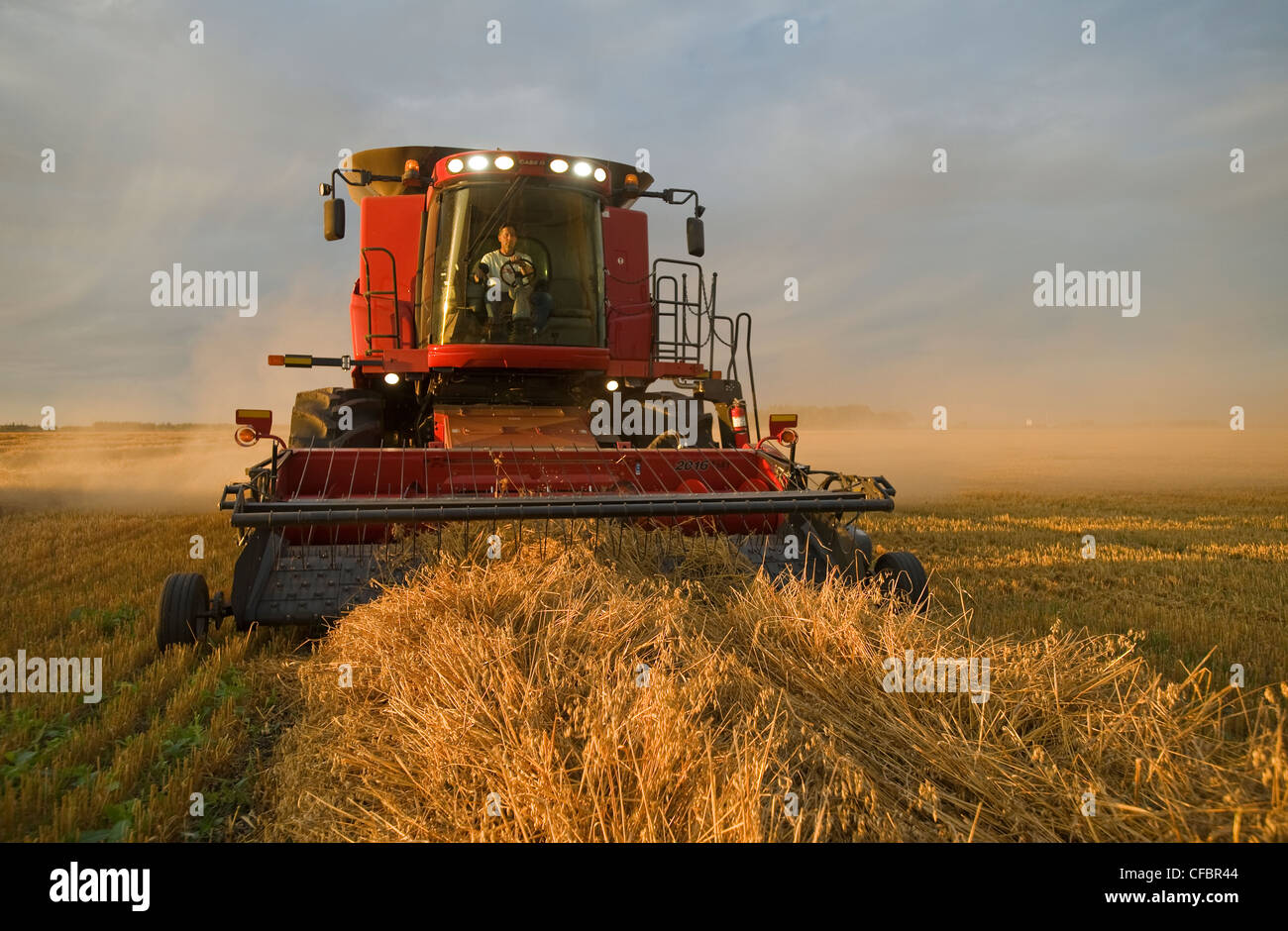 Cereal farmer at the controls of his combine harvester hi-res stock ...
