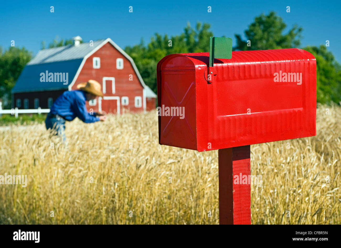Close up of rural mailbox with red barn and farmer checking spring ...
