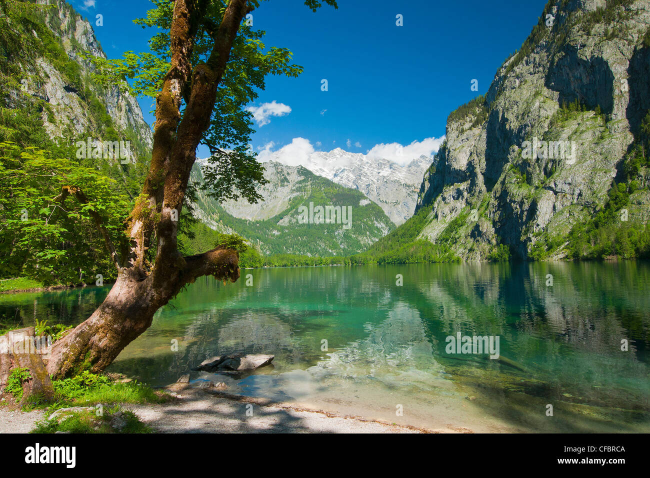 Salet alp hi-res stock photography and images - Alamy