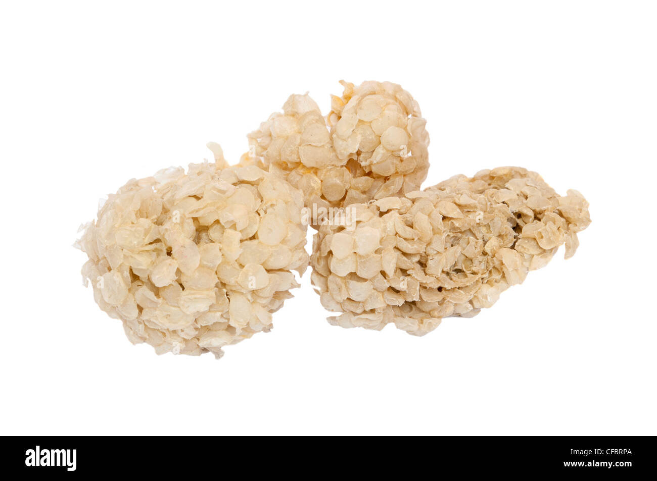 Dried Sea Sponges Stock Photo - Alamy