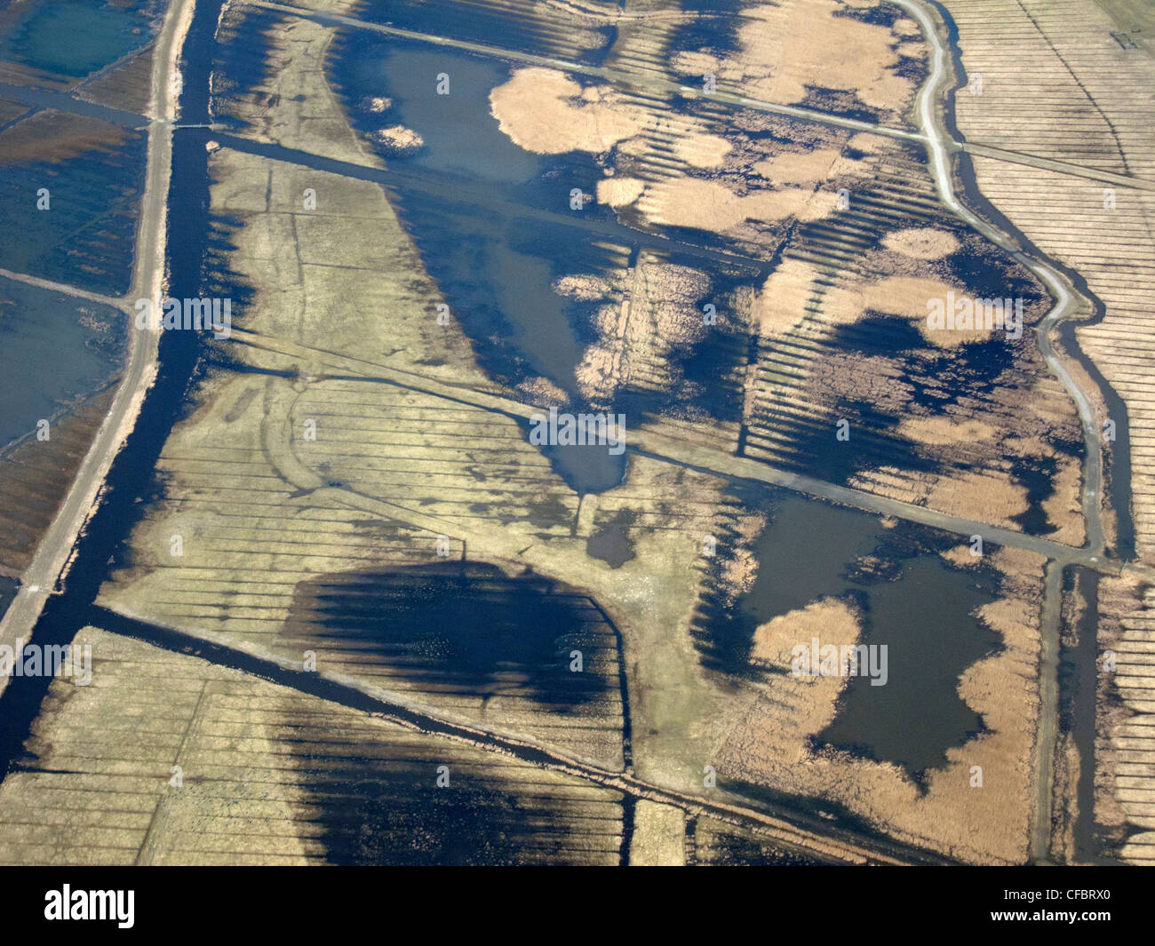 Tide, dikes, marsh, Rickelsbüller Koog, Wadden Sea, Hallig Islands ...