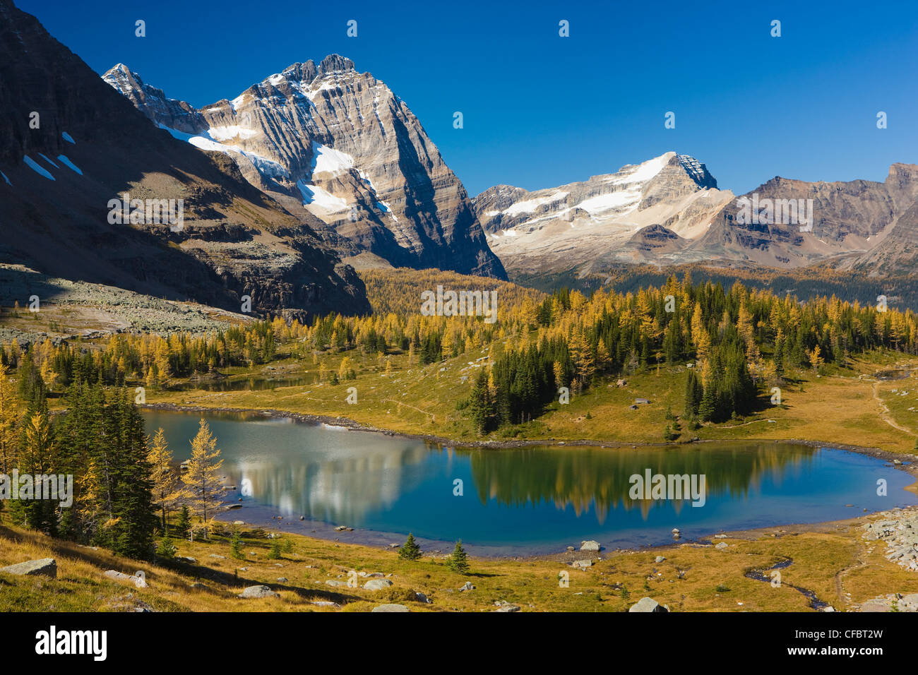 Lake ohara fall image hi-res stock photography and images - Alamy