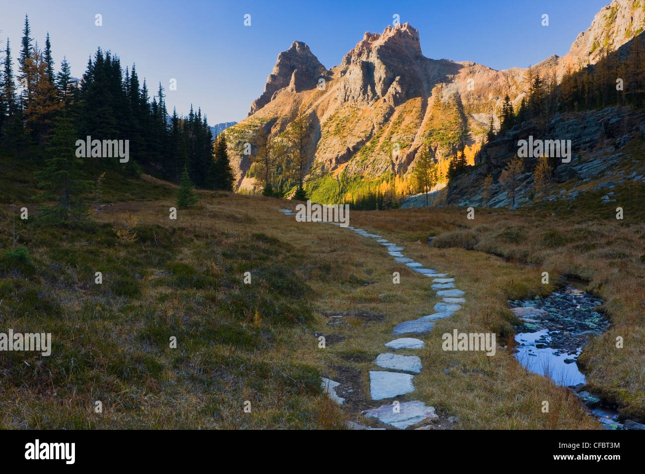 Huber High Resolution Stock Photography and Images - Alamy