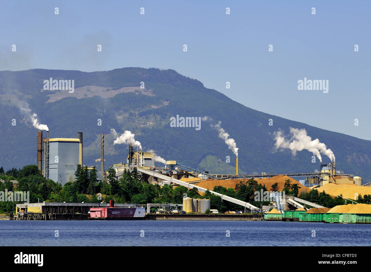 Catalyst pulp mill in crofton hi-res stock photography and images - Alamy