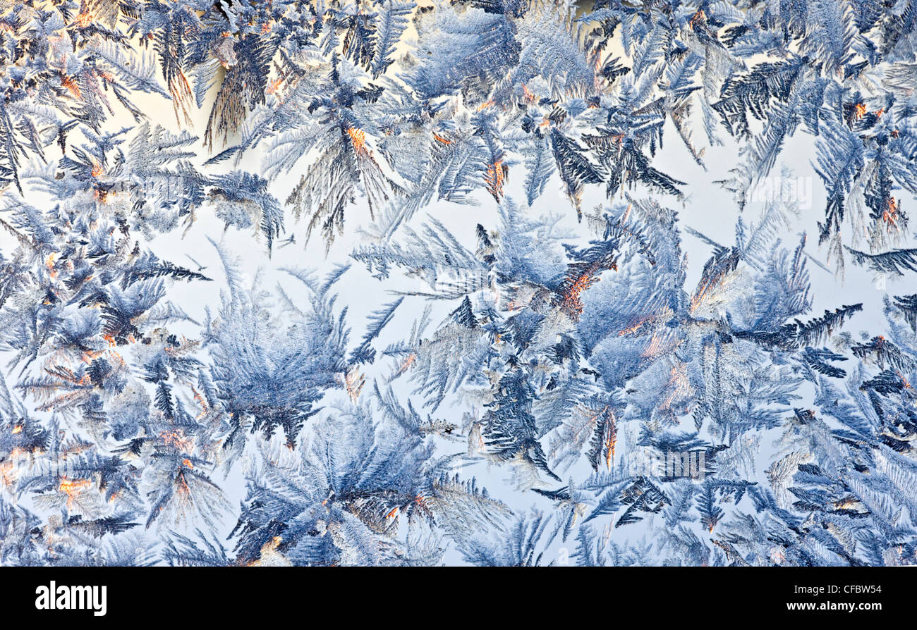 frost patterns at sunrise Stock Photo - Alamy