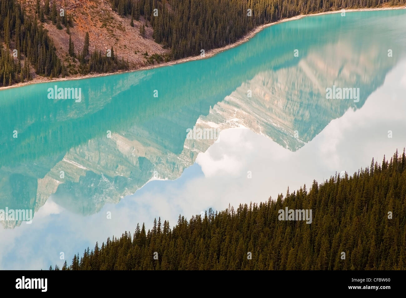 Caldron Peak reflected in Peyto Lake, Banff National Park, Alberta ...