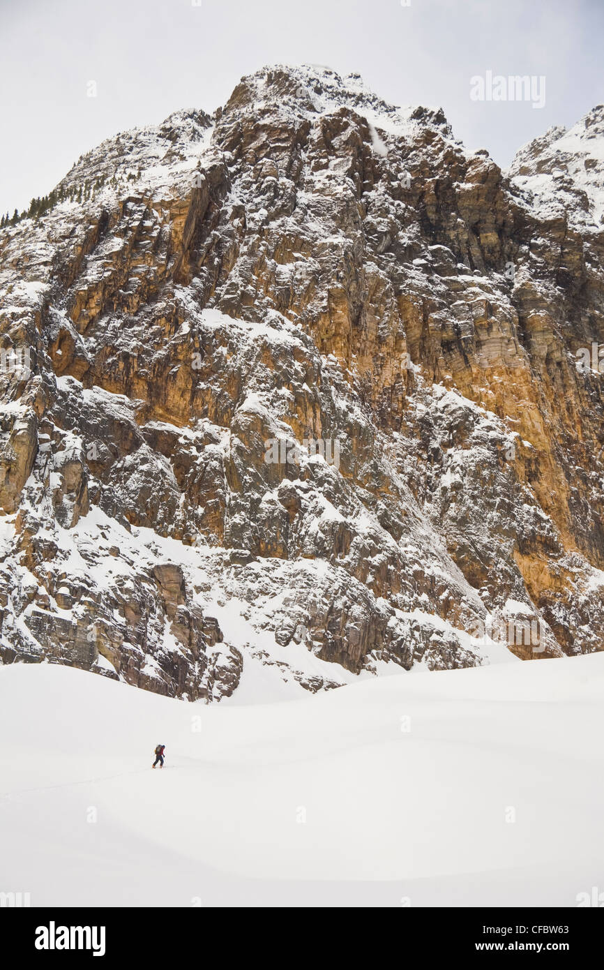 A man backcountry skiing, Mount Chephren, Icefields Parkway, Banff ...