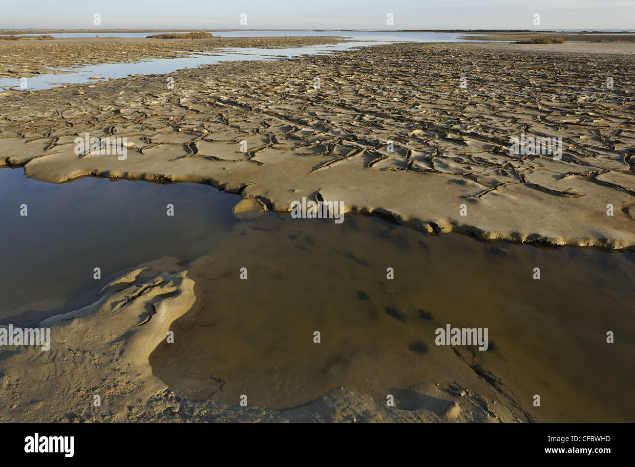 Brackish water hi-res stock photography and images - Alamy