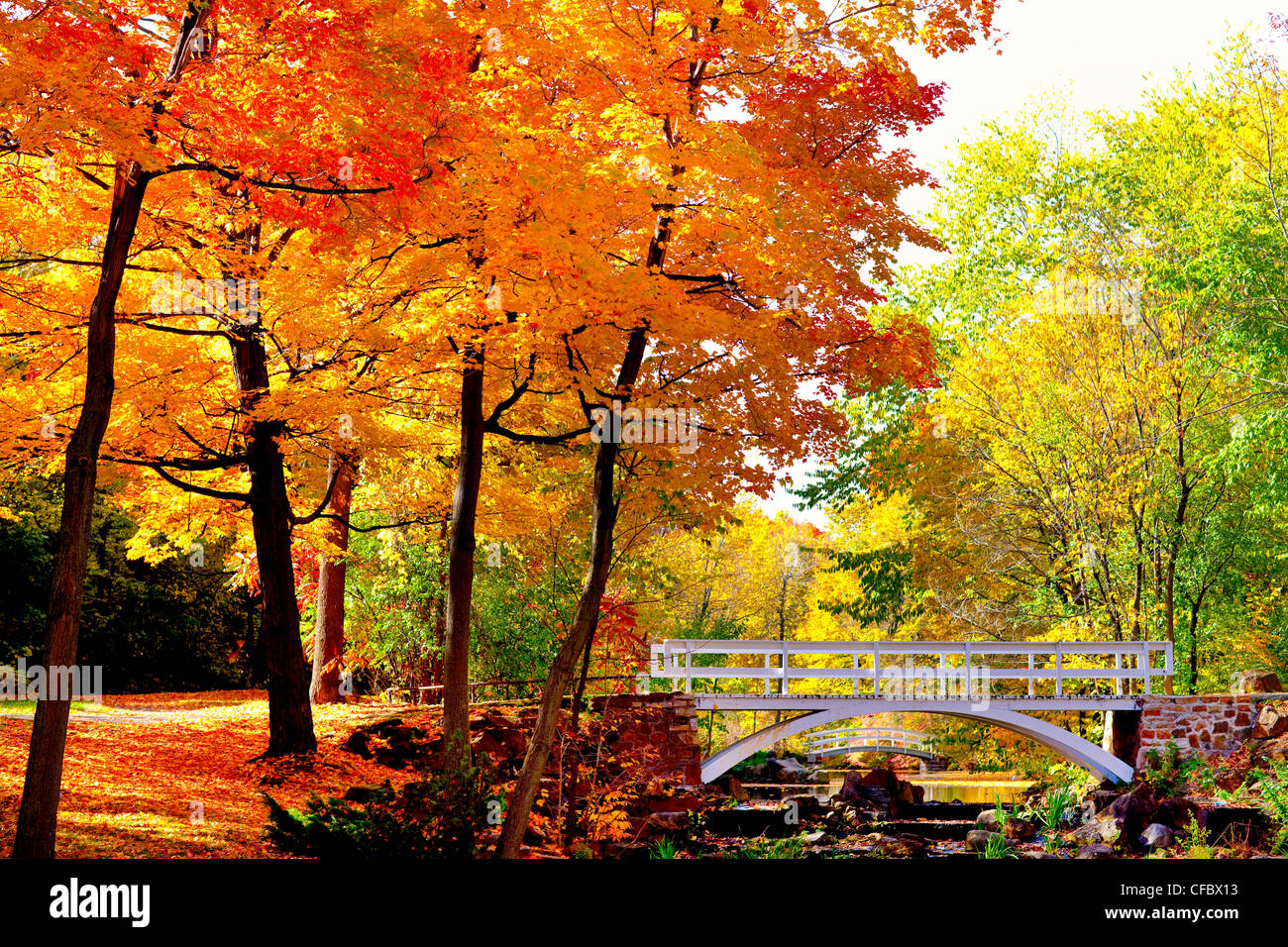 Bridge in Autumn in Jean-Drapeau Park, Montreal, Quebec, Canada Stock ...