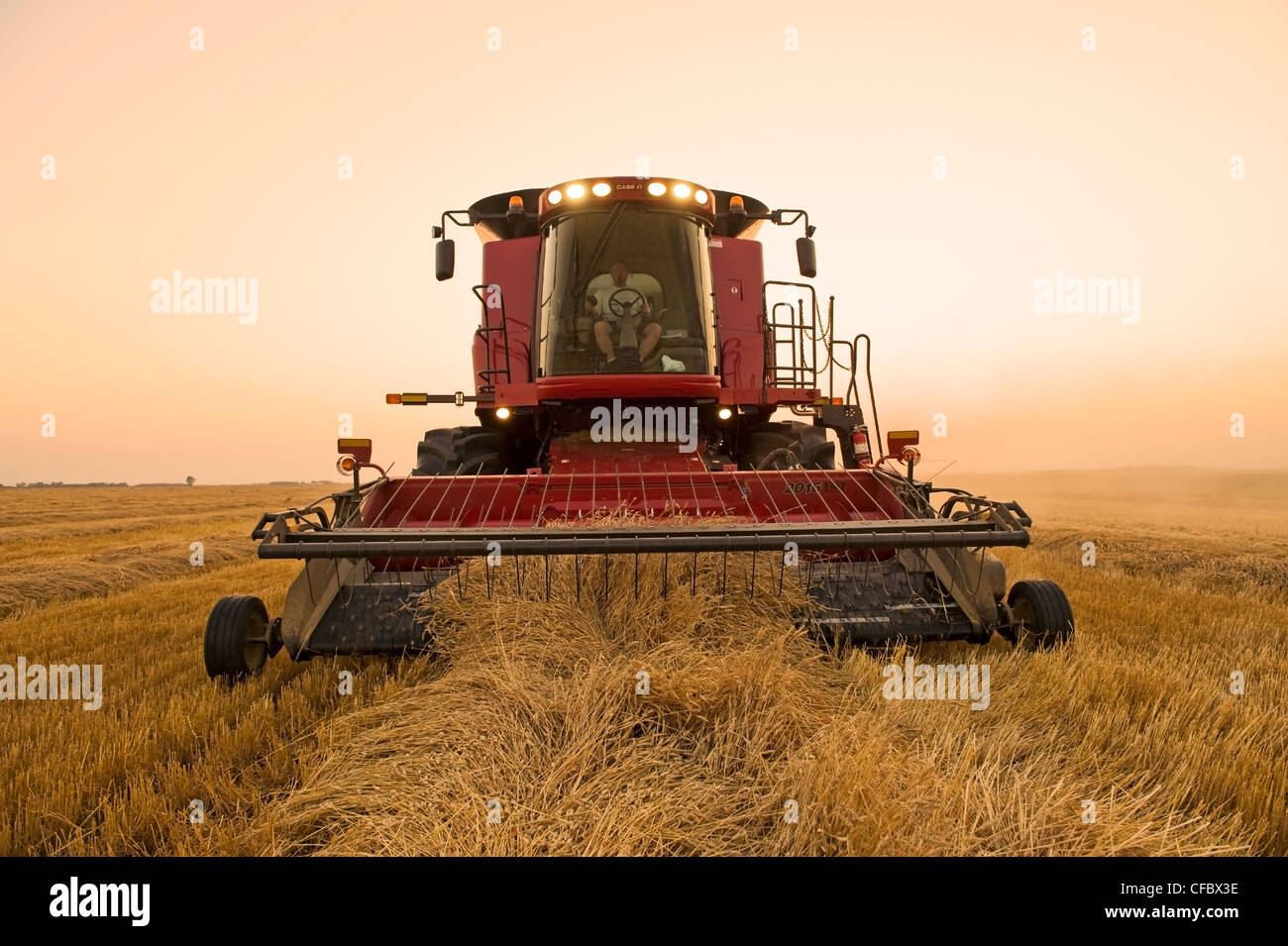 Spring works hi-res stock photography and images - Alamy