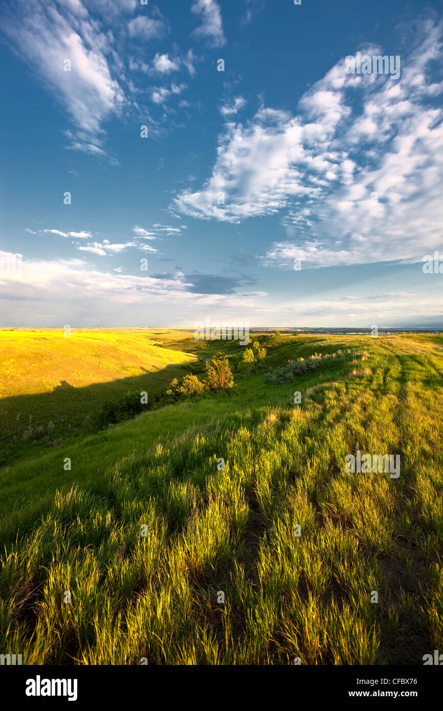 Prairie near Moose Jaw, Saskatchewan, Canada Stock Photo - Alamy