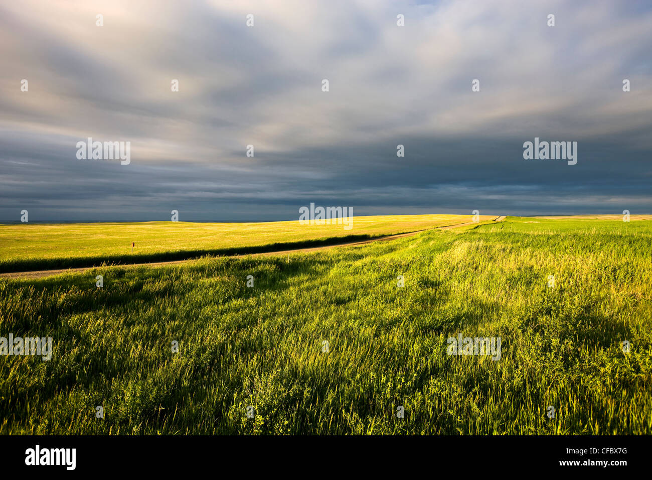 Clay road in spring near Moose Jaw, Saskatchewan, Canada Stock Photo ...