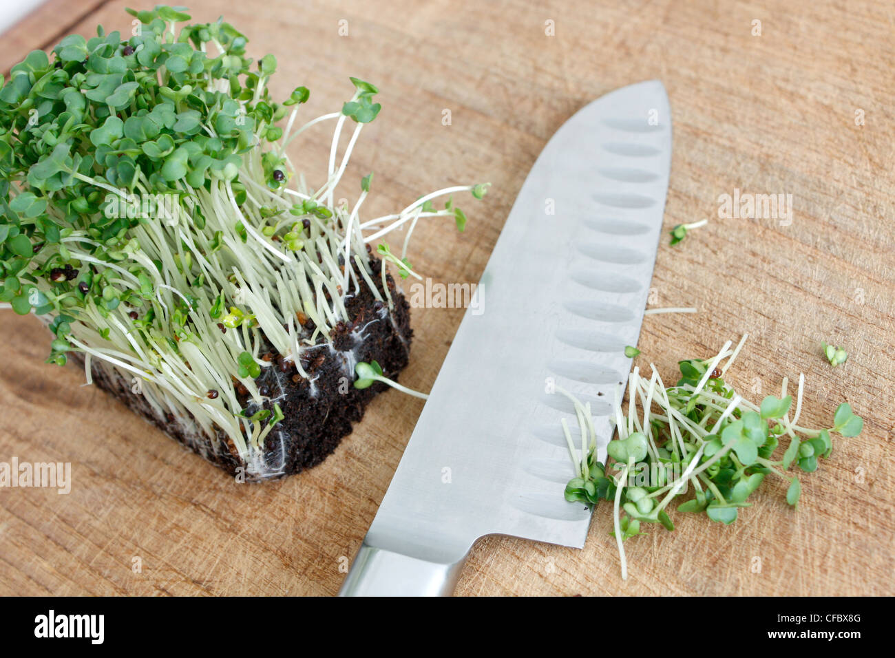 Water cress isolated on white Stock Photo - Alamy