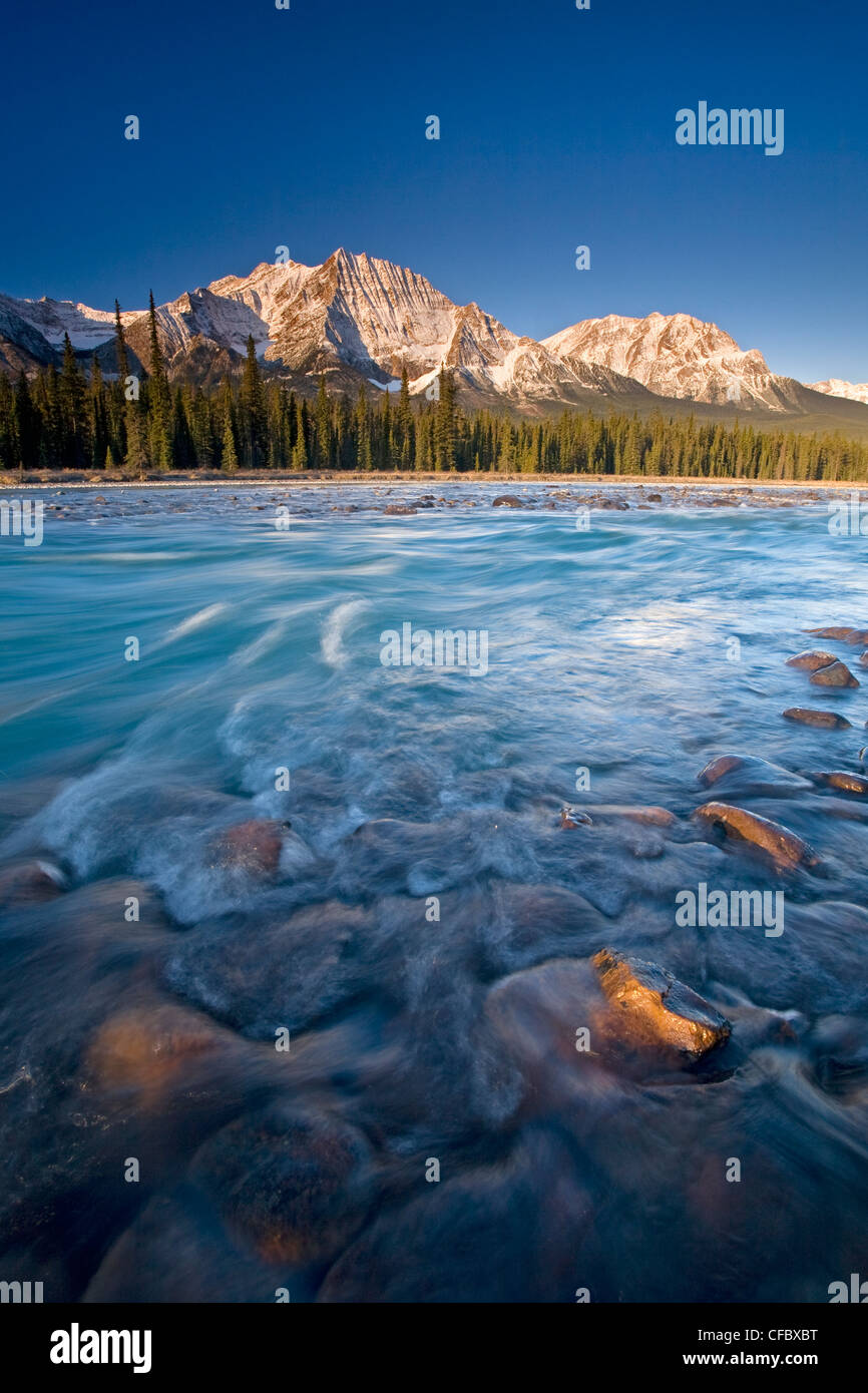 Mount fryatt and the athabasca river hi-res stock photography and ...
