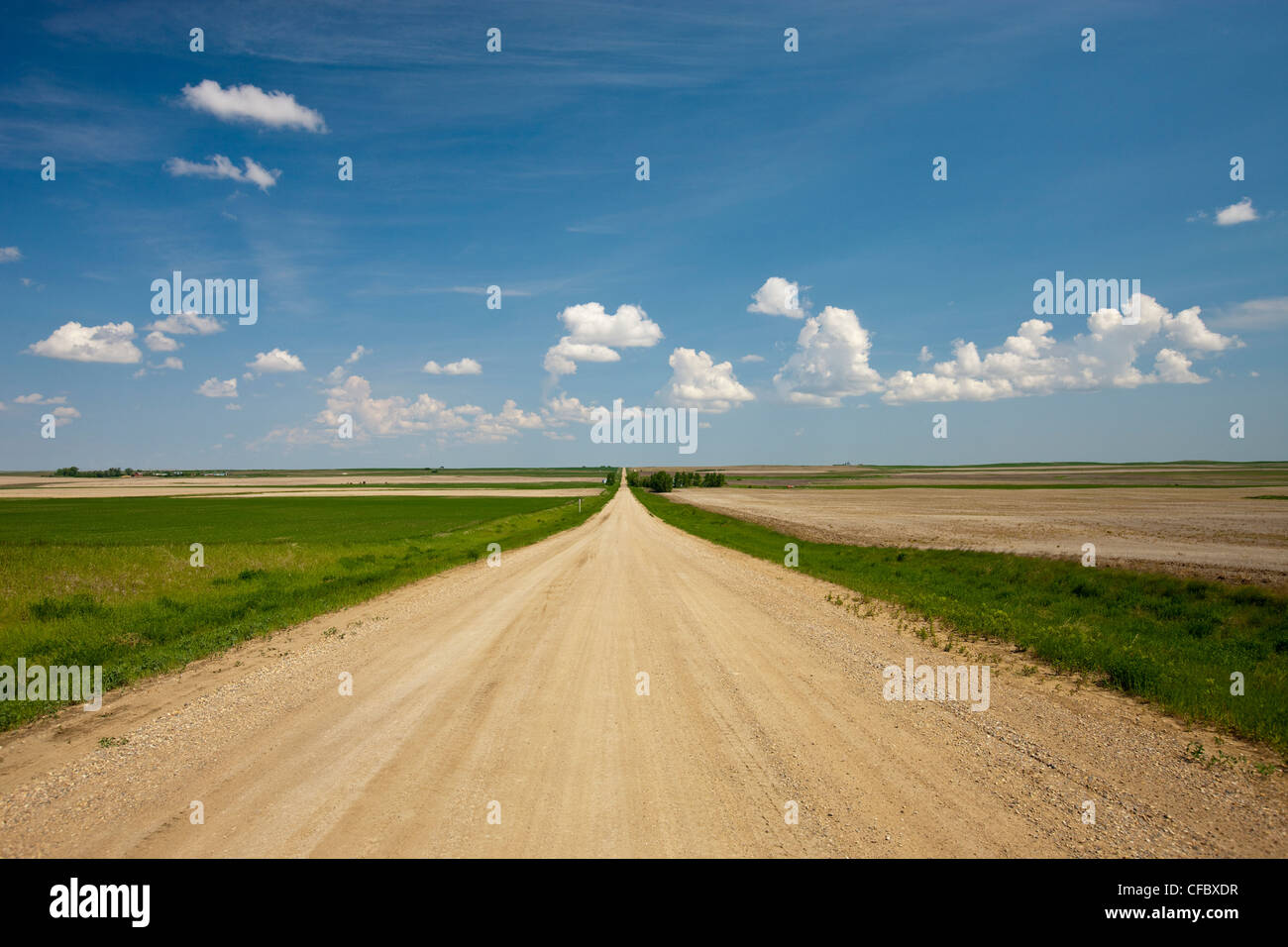 Country clay road, Oyen, Alberta, Canada Stock Photo - Alamy