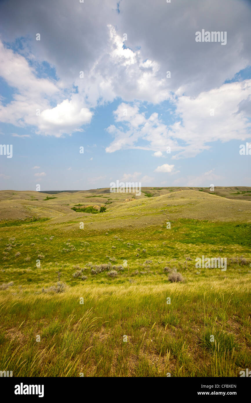 Saskatchewan landing provincial park hi-res stock photography and ...