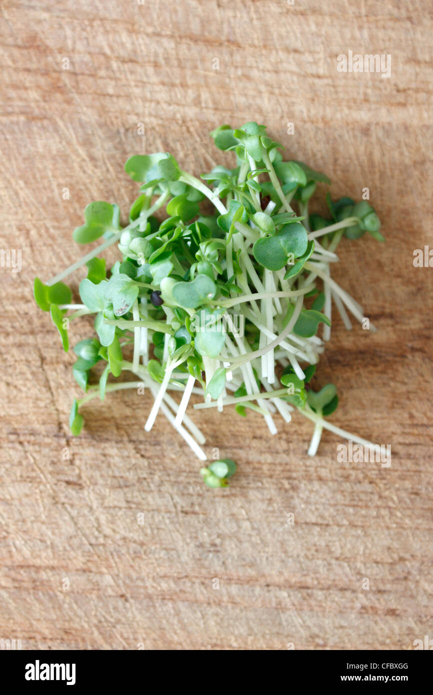 Wild cress hi-res stock photography and images - Alamy