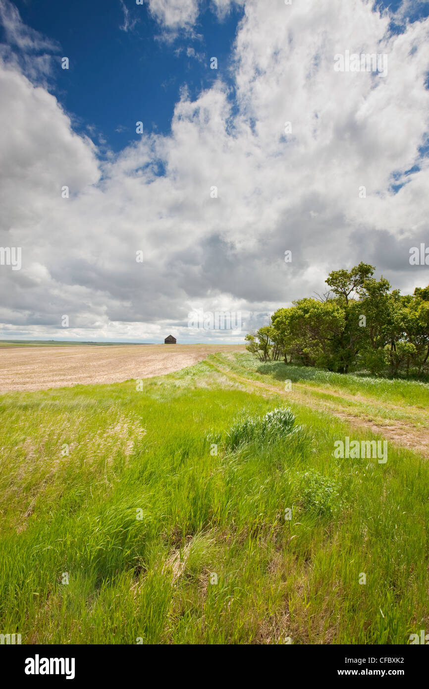 Cadillac saskatchewan hi-res stock photography and images - Alamy