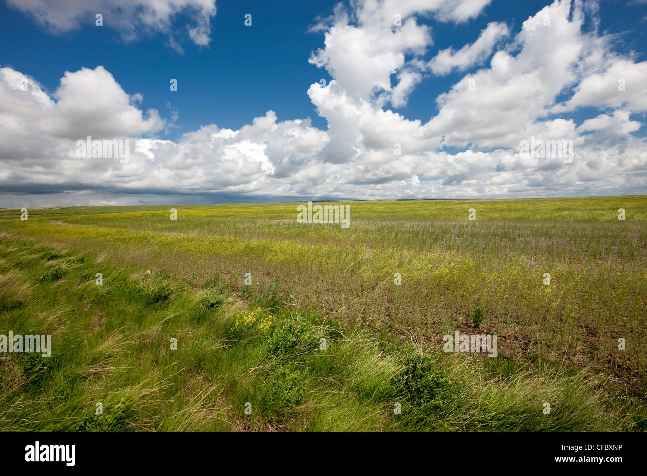 Val marie saskatchewan hi-res stock photography and images - Alamy