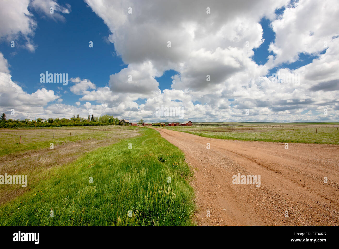 Farm in Val Marie, Saskatchewan, Canada Stock Photo - Alamy