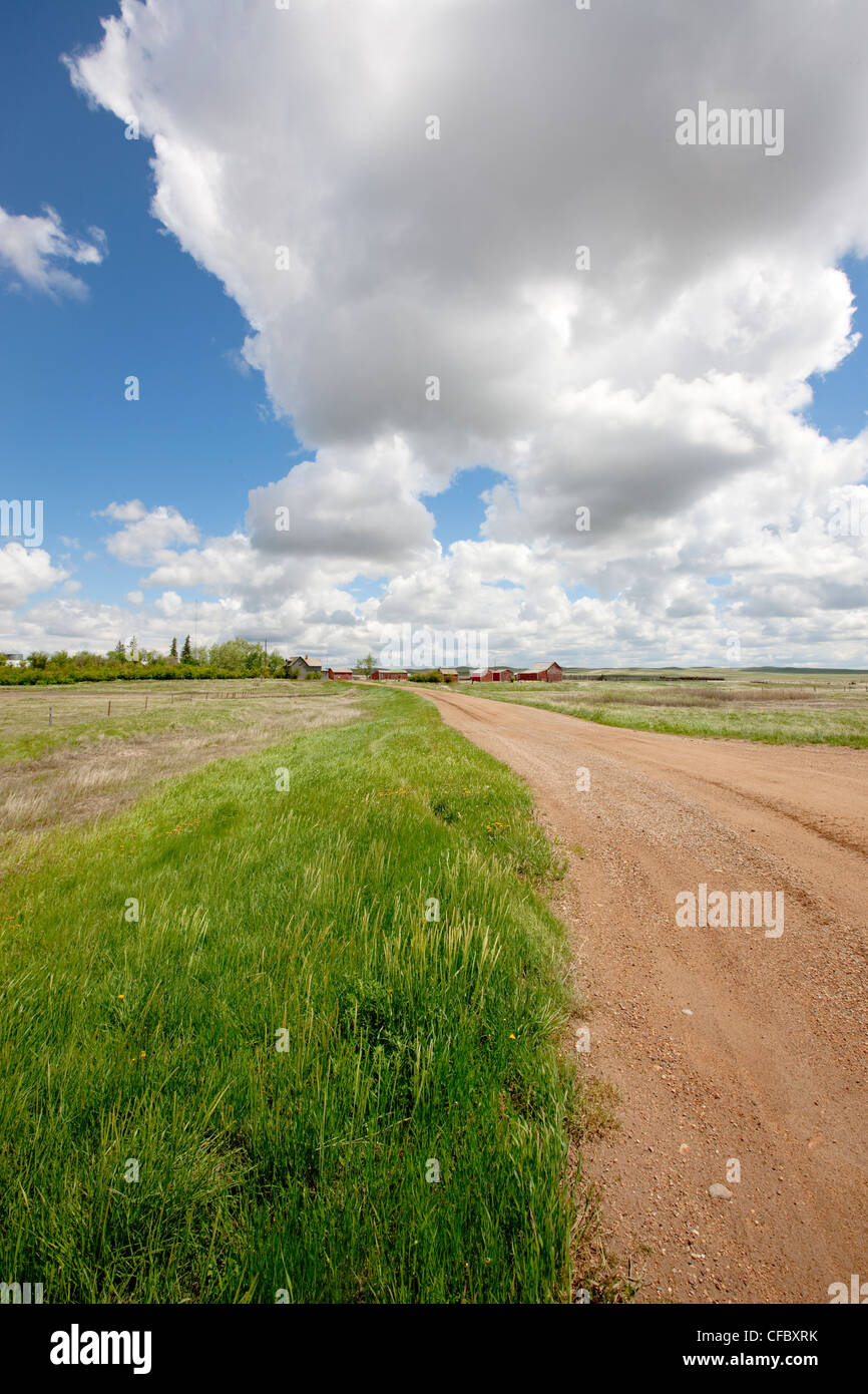 Farm in Val Marie, Saskatchewan, Canada Stock Photo - Alamy
