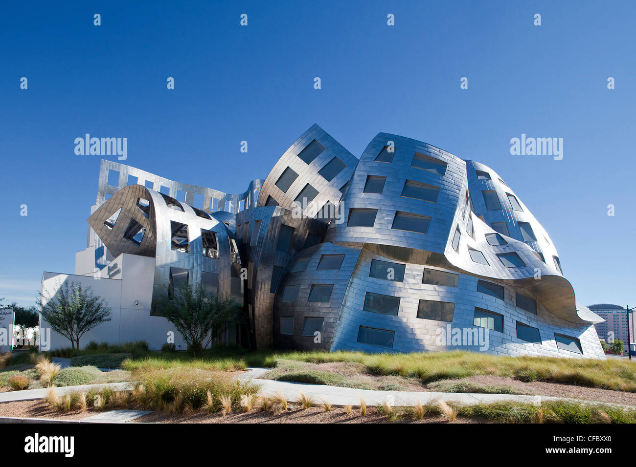 Brain health center hi-res stock photography and images - Alamy