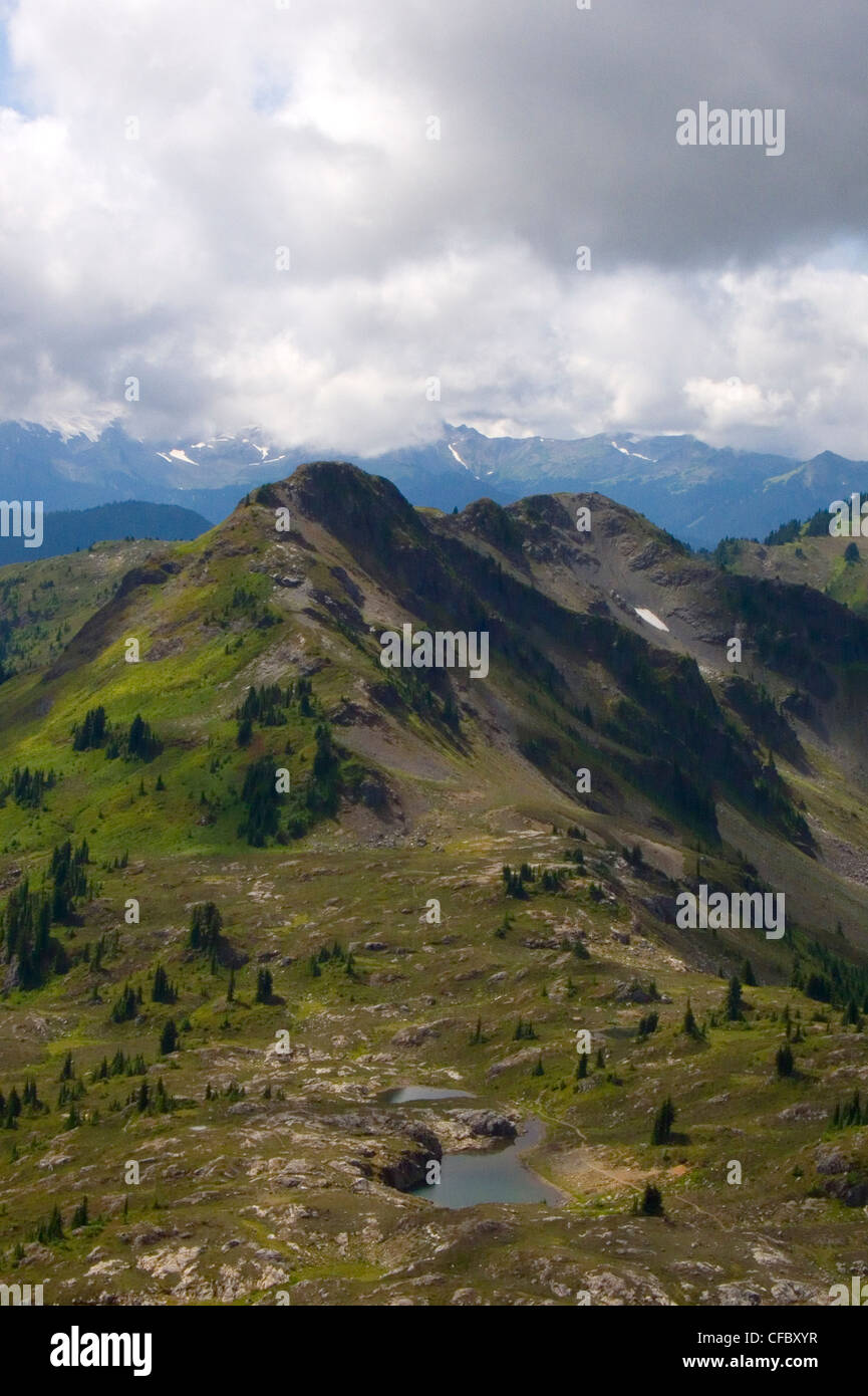 Looking down to the Yellow Aster Butte trail Mt Baker Wilderness ...
