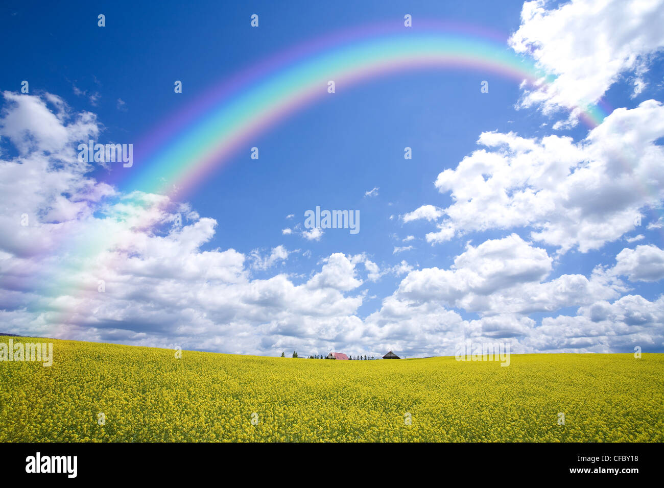 Colourful rainbow disappearing into white fluffy clouds over open ...