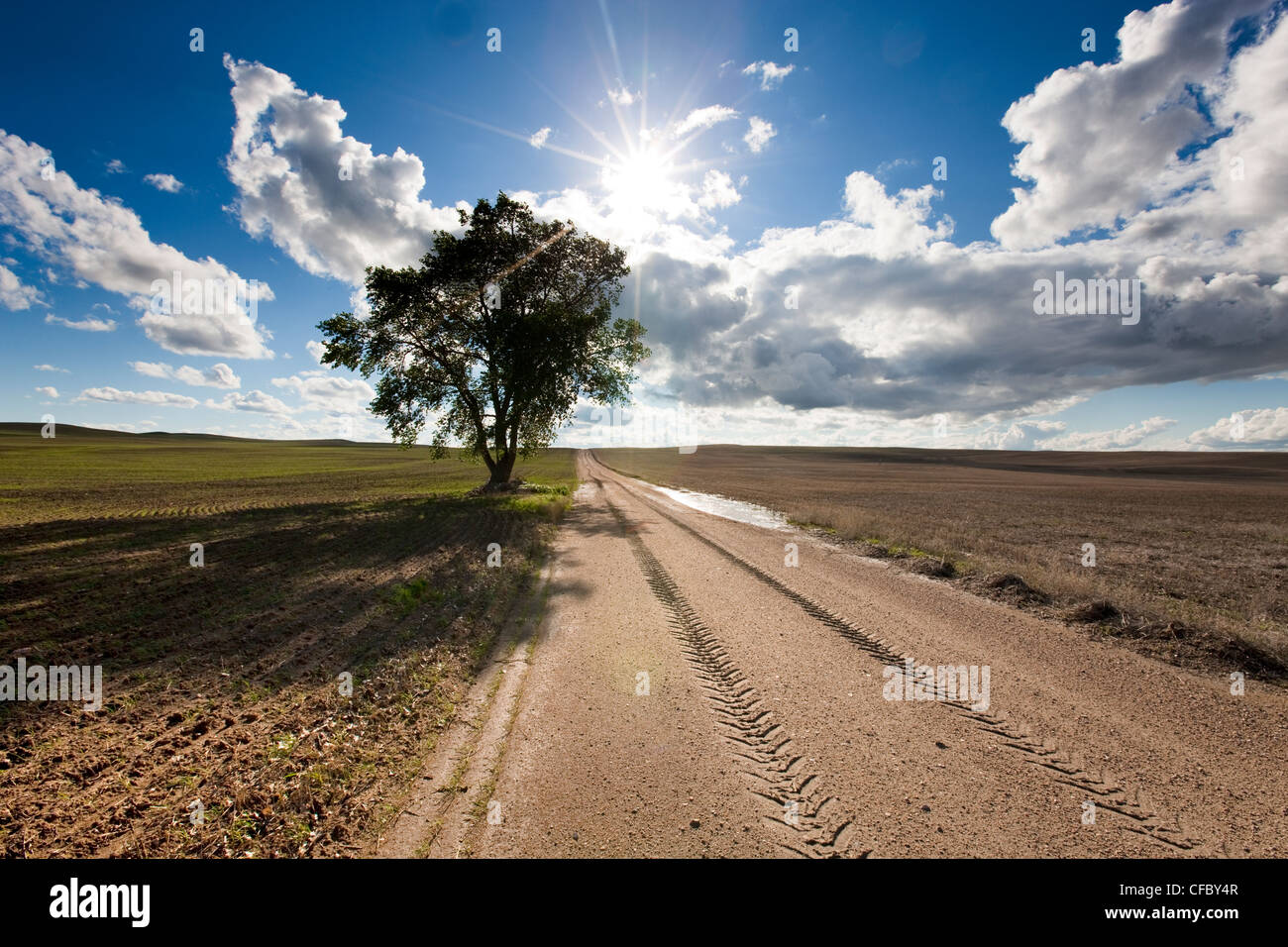 Ferland hi-res stock photography and images - Alamy