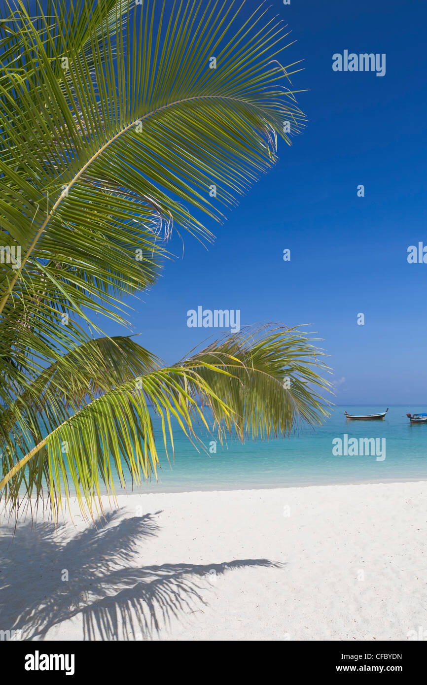 National tree of thailand hi-res stock photography and images - Alamy