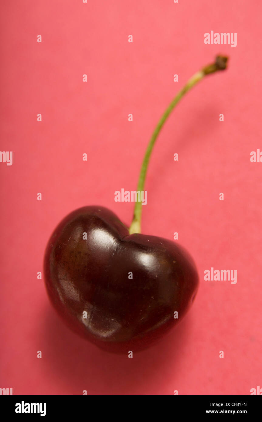 A red cherry on a pink background Stock Photo - Alamy
