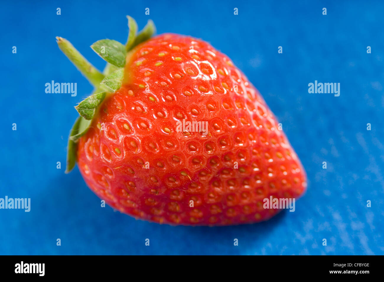 A strawberry on a bright blue background Stock Photo - Alamy