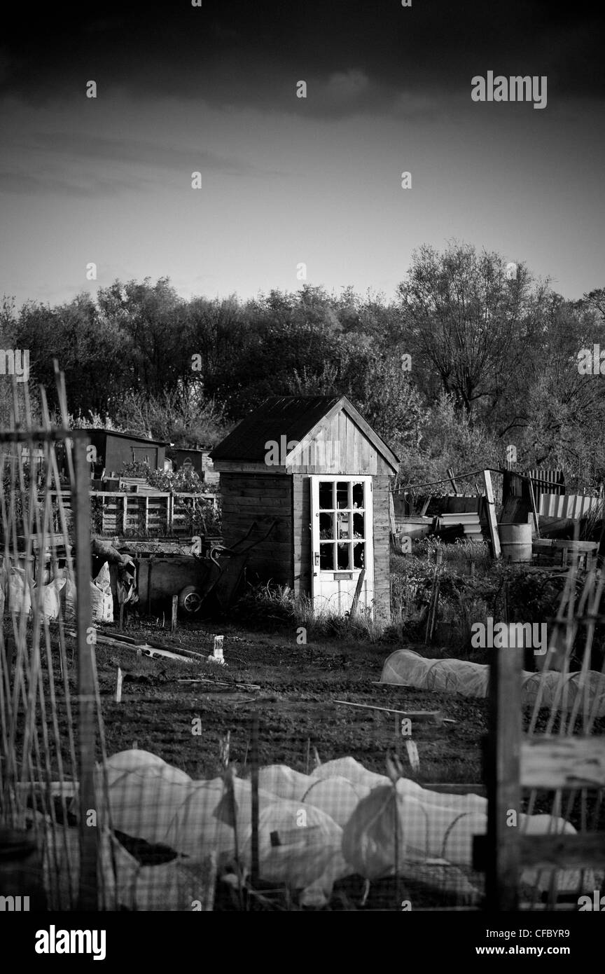 Ramshackle shed hi-res stock photography and images - Alamy