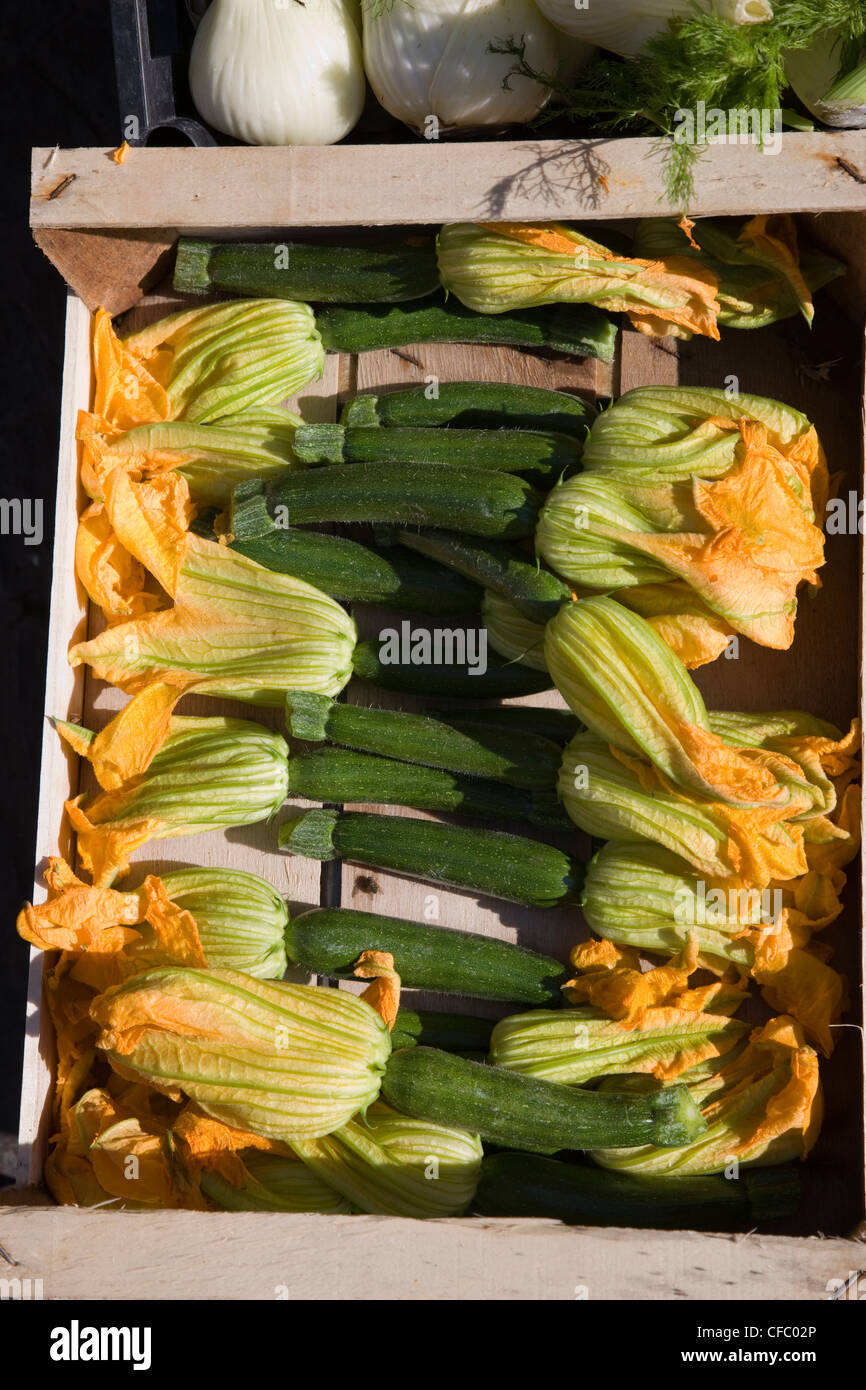 Courgettes With Flowers High Resolution Stock Photography and Images ...