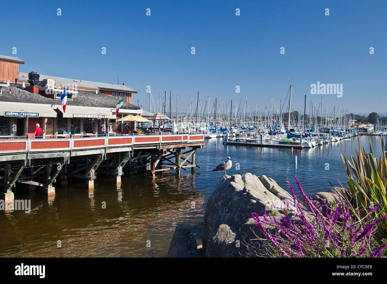 USA, United States, America, California, Monterey, City, Fisherman´s ...