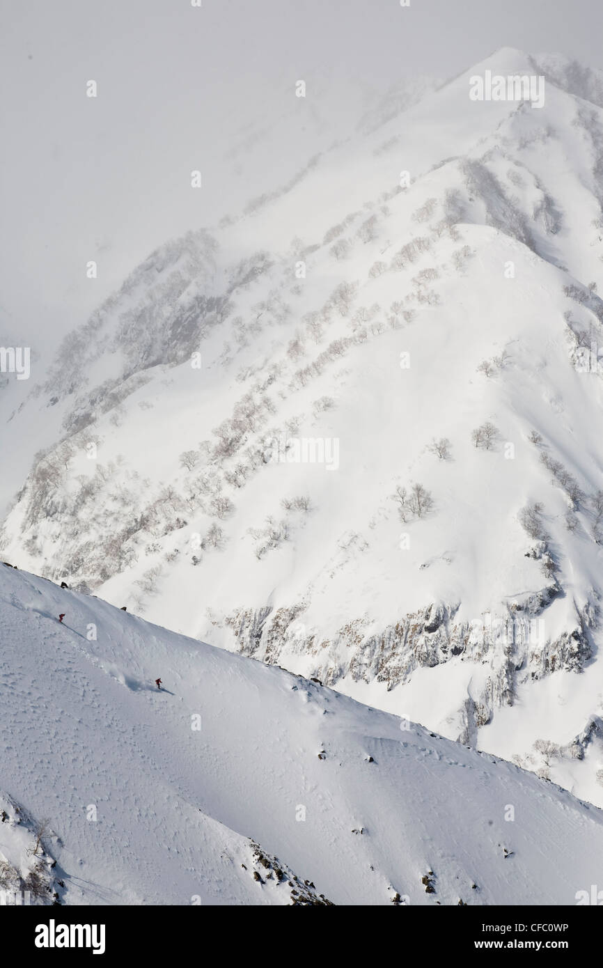 A skier ripping fresh powder in the Hakuba Backcountry, Japan Stock ...