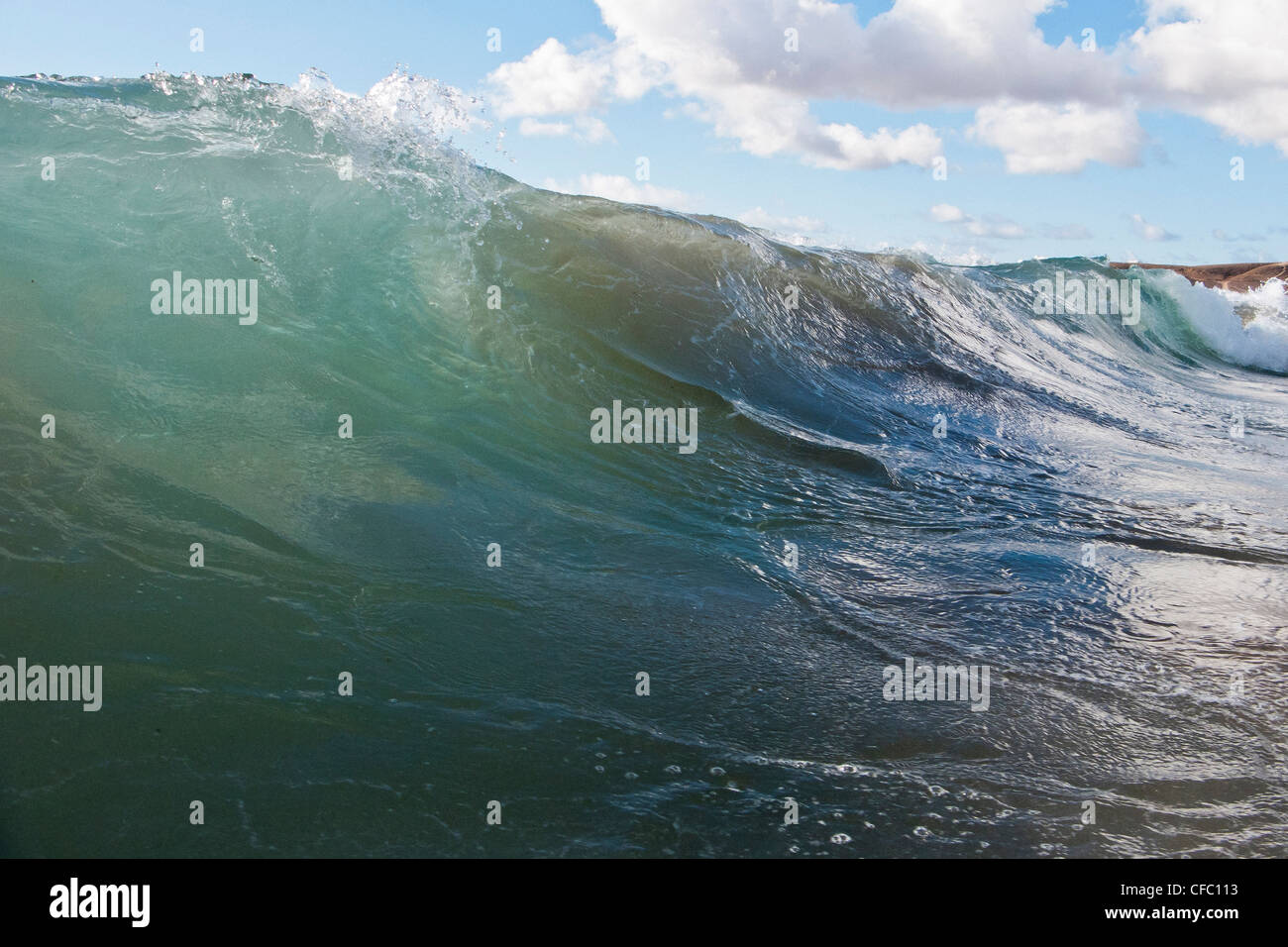 Body canaries hi-res stock photography and images - Alamy