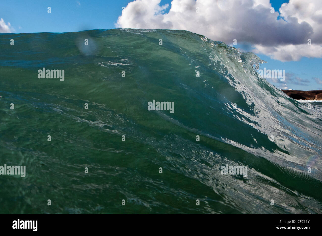 Atlantic canaries hi-res stock photography and images - Alamy