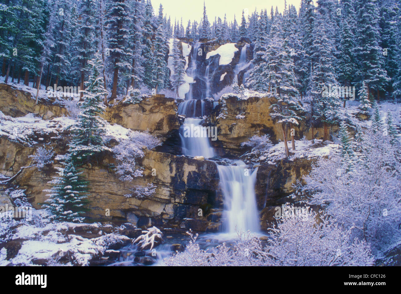 Tangle Falls - Icefields Parkway, Jasper National Park, Alberta. Canada ...